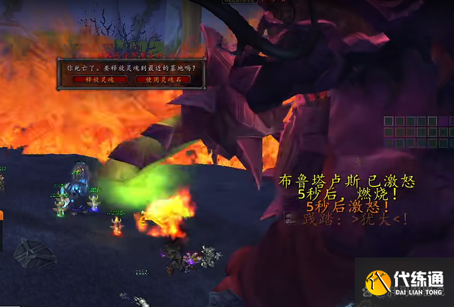 魔兽TBC：P4毕业团队测试布胖，满血熊德直接秒，1秒4刀谁能抗住