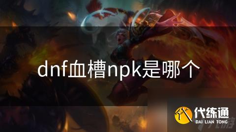 dnf血槽npk是哪个