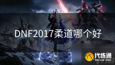 DNF2017柔道哪个好